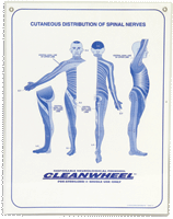 Dermatone Poster - discountmedicalsupplies.com